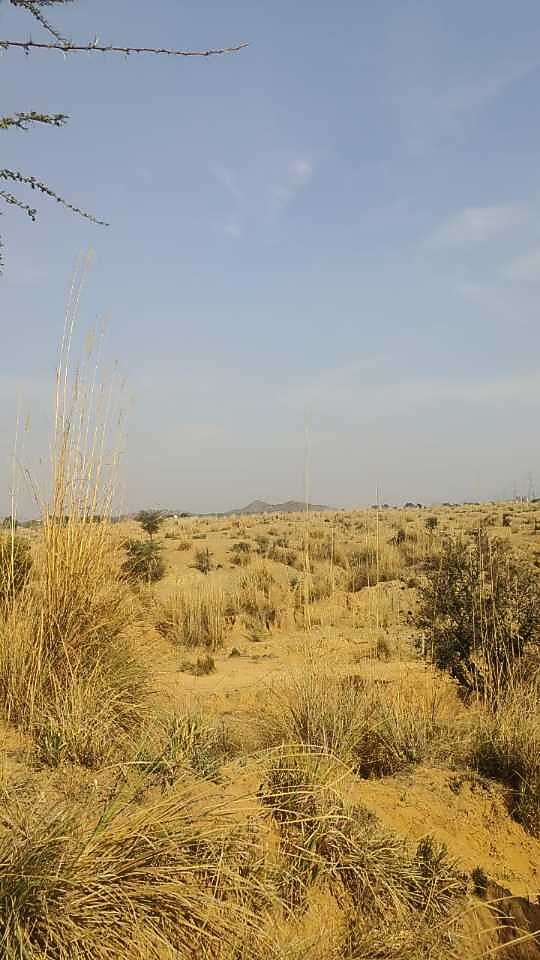 Camp Nomad Gallu 𝗕𝗢𝗢𝗞 Kufri Camp 𝘄𝗶𝘁𝗵 𝗙𝗥𝗘𝗘 𝗖𝗮𝗻𝗰𝗲𝗹𝗹𝗮𝘁𝗶𝗼𝗻