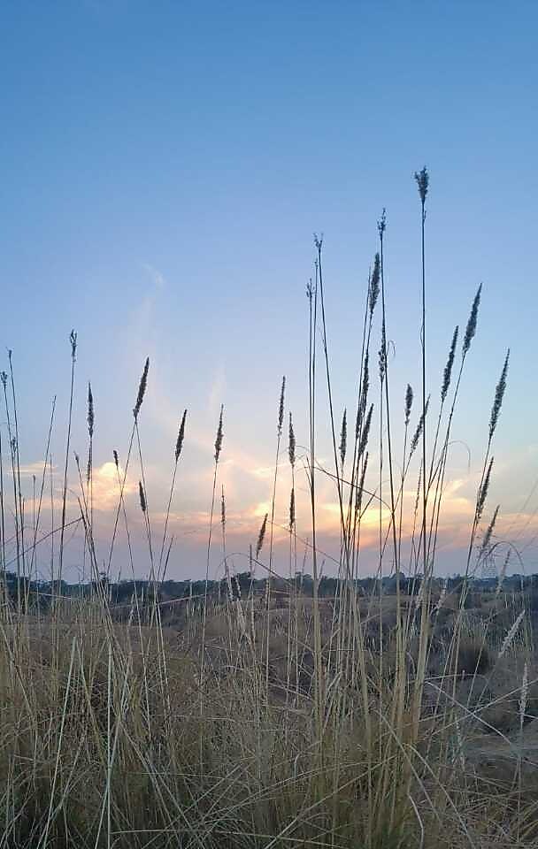 Camp Nomad Gallu 𝗕𝗢𝗢𝗞 Kufri Camp 𝘄𝗶𝘁𝗵 𝗙𝗥𝗘𝗘 𝗖𝗮𝗻𝗰𝗲𝗹𝗹𝗮𝘁𝗶𝗼𝗻