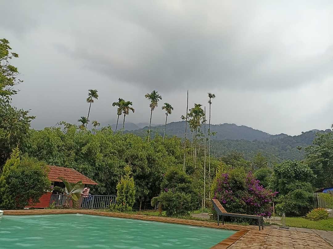 Photos of Vythiri Holiday Resort - Resort in Wayanad