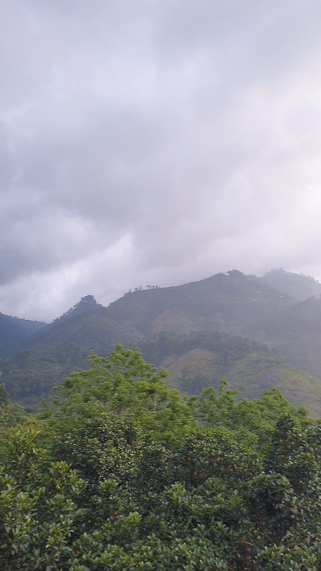 Doltan Homestay 𝗕𝗢𝗢𝗞 Kodaikanal Homestay 𝘄𝗶𝘁𝗵 ₹𝟬 𝗣𝗔𝗬𝗠𝗘𝗡𝗧