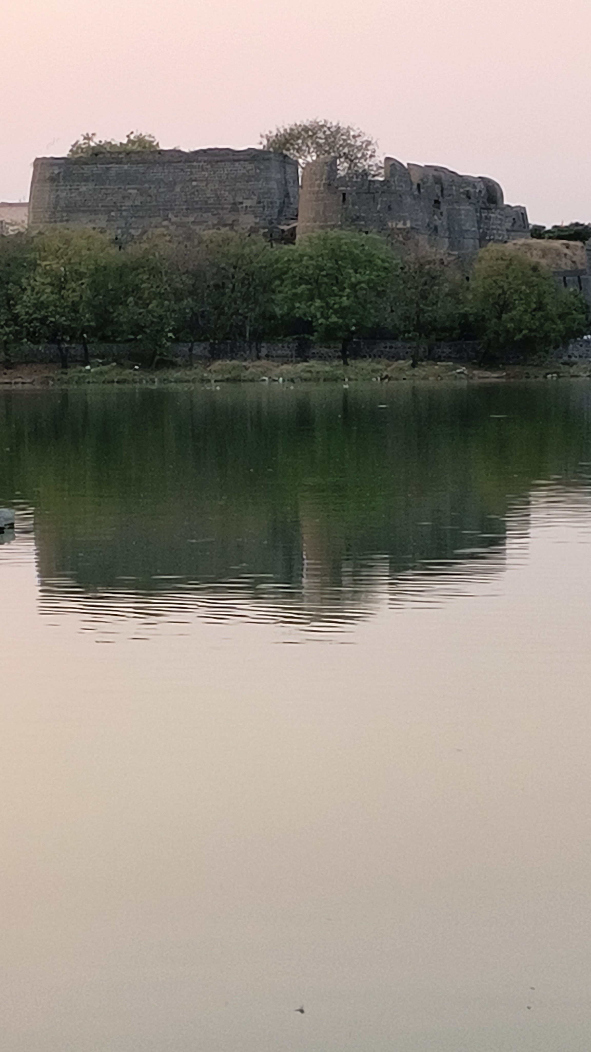 Photos of LOTUS HOTEL - Hotel in Solapur