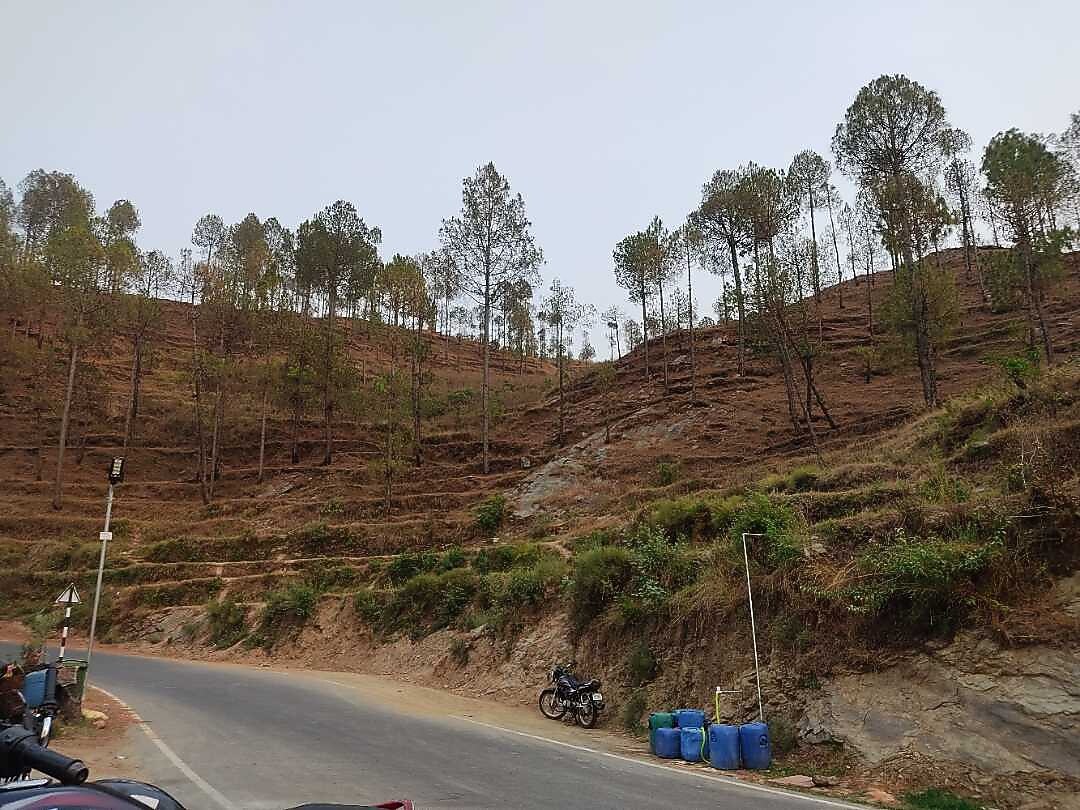 Reviews of BSR Farms Resort - Cottage in Pauri