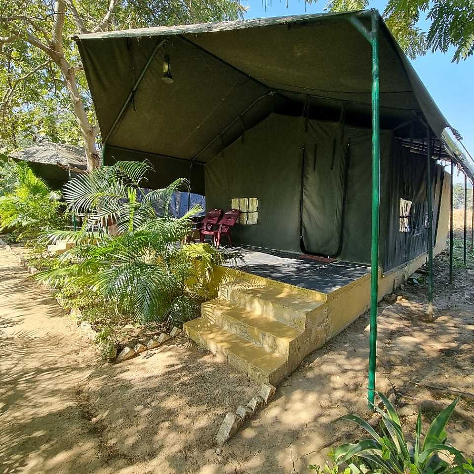 Nagzira Nature Camp | Rooms & Caretaker 𝗕𝗢𝗢𝗞 Tirora Camp 𝘄𝗶𝘁𝗵 𝗙𝗥𝗘𝗘 ...