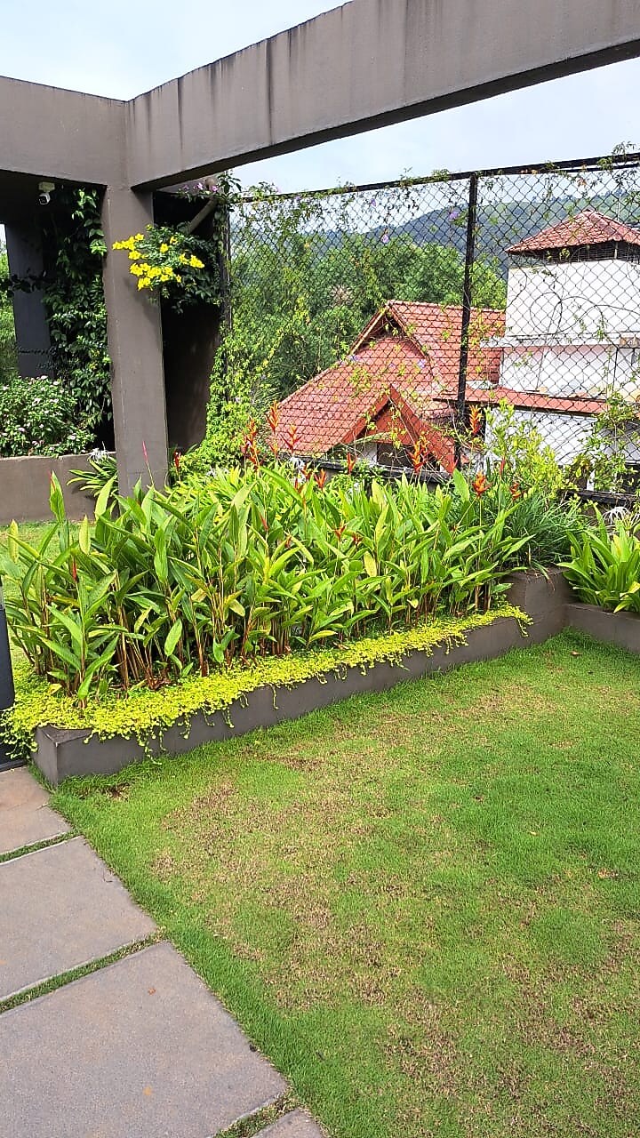 Keys Prima by Lemon Tree Hotels Thekkady 𝗕𝗢𝗢𝗞 Thekkady Hotel 𝘄𝗶𝘁𝗵 ₹𝟬 ...