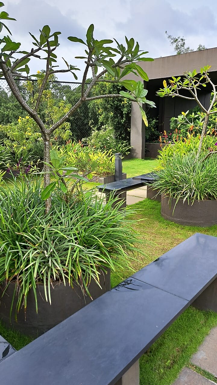 Keys Prima by Lemon Tree Hotels Thekkady 𝗕𝗢𝗢𝗞 Thekkady Hotel 𝘄𝗶𝘁𝗵 ₹𝟬 ...