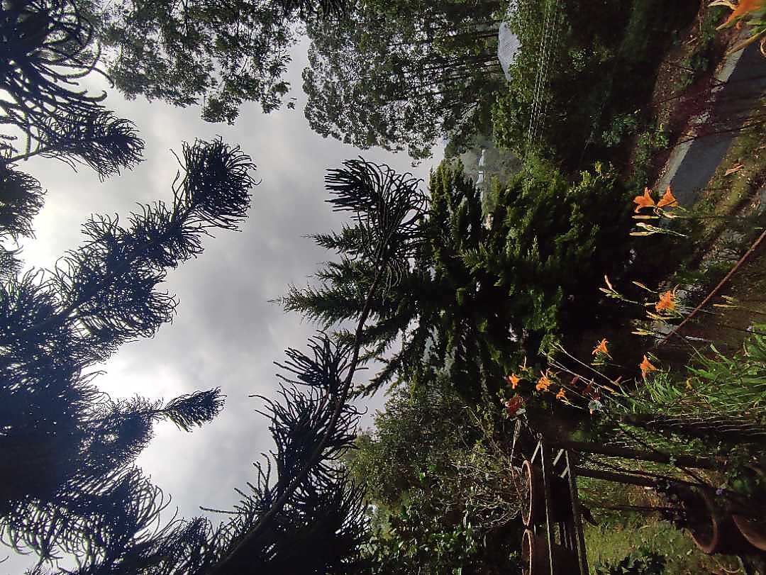 Spring Dale Resort Best Rates on Munnar Hotel Deals, Reviews & Photos