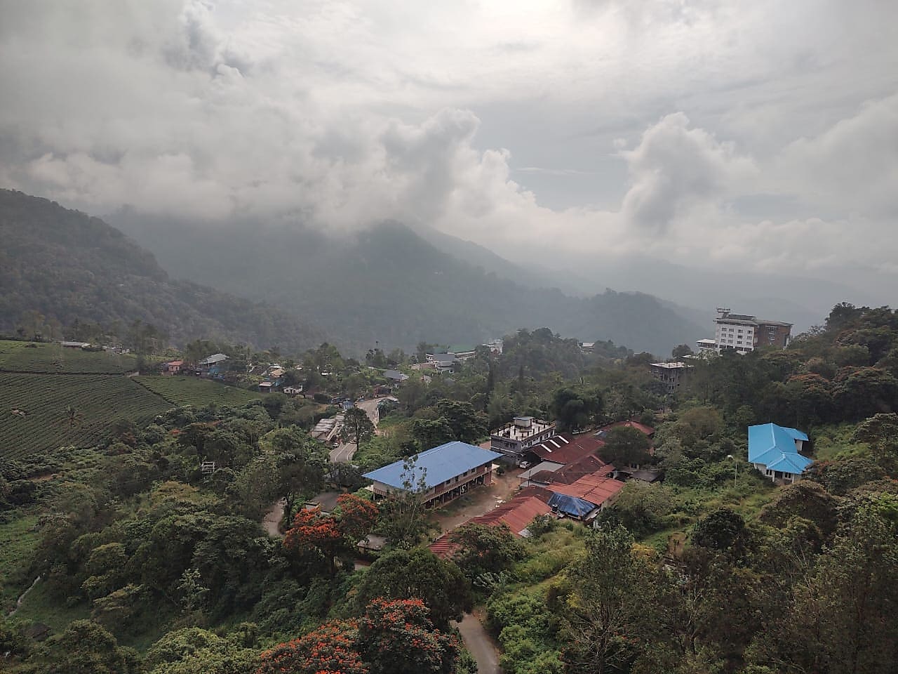 Golden Munnar Palace By Hawk Hospitality 𝗕𝗢𝗢𝗞 Munnar Resort 𝘄𝗶𝘁𝗵 𝗙𝗥𝗘𝗘 ...