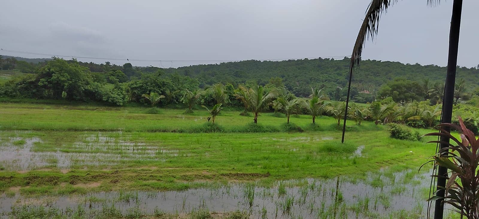 Reviews of Casa Da Village Calangute - Apartment in Goa