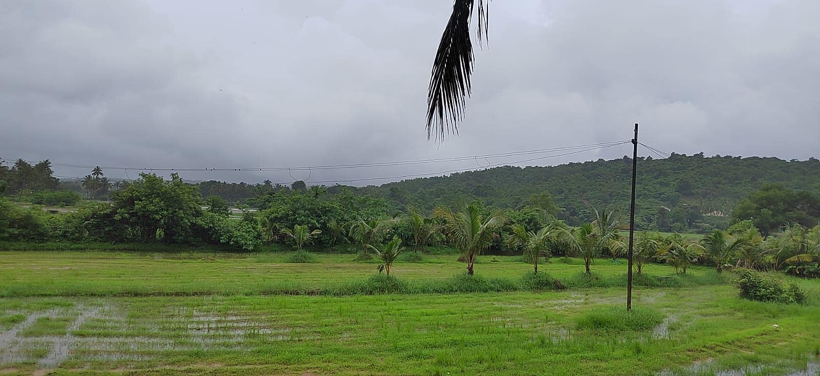 Reviews of Casa Da Village Calangute - Apartment in Goa