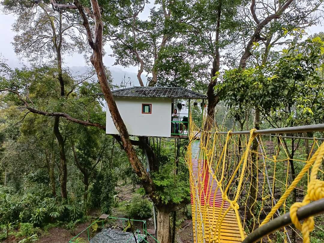 Photos of Silver Trees Tree House - Tree house in Munnar