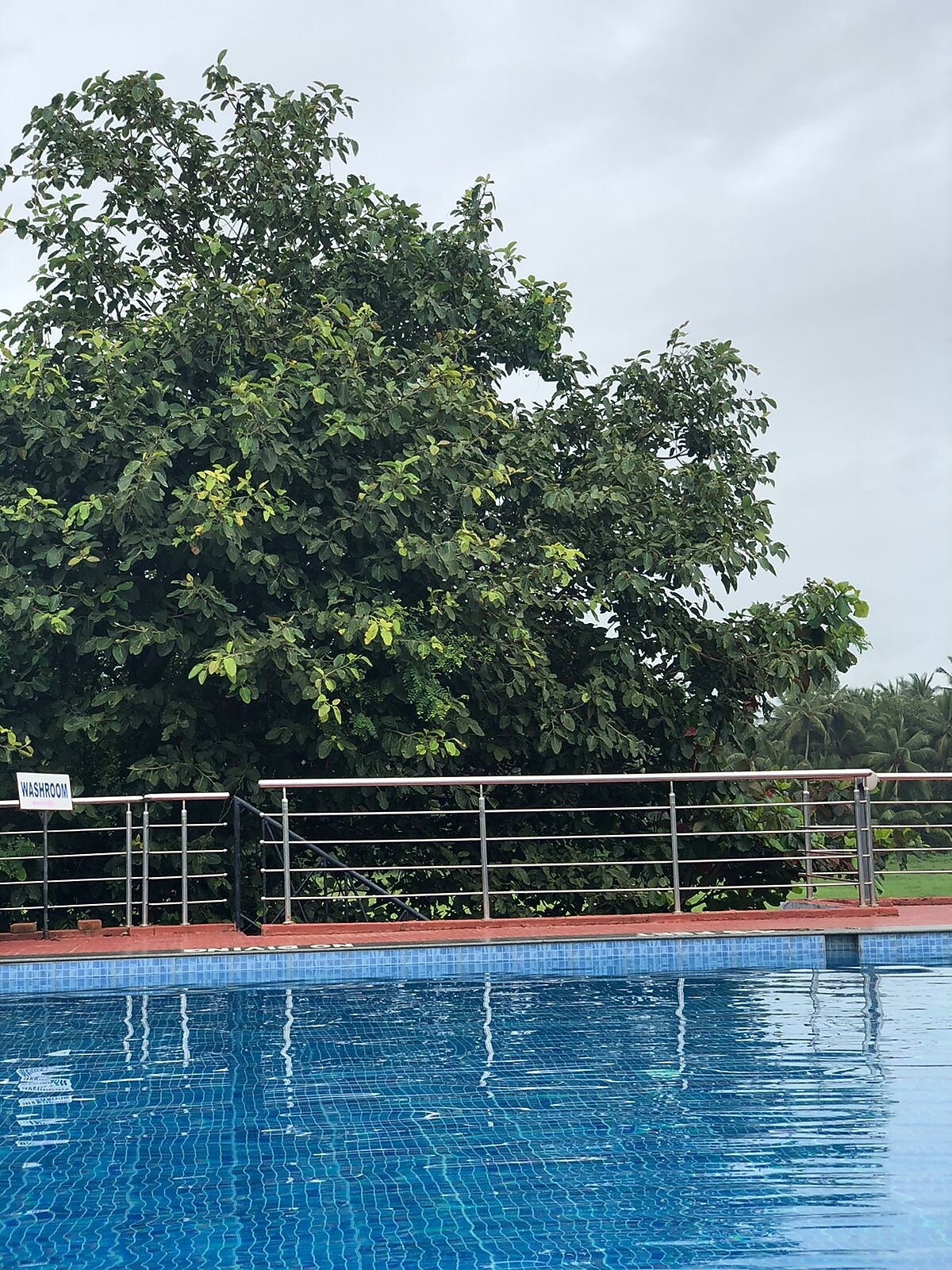 SALCETE BEACH RESORT | Goa Resort BOOK @ ₹1