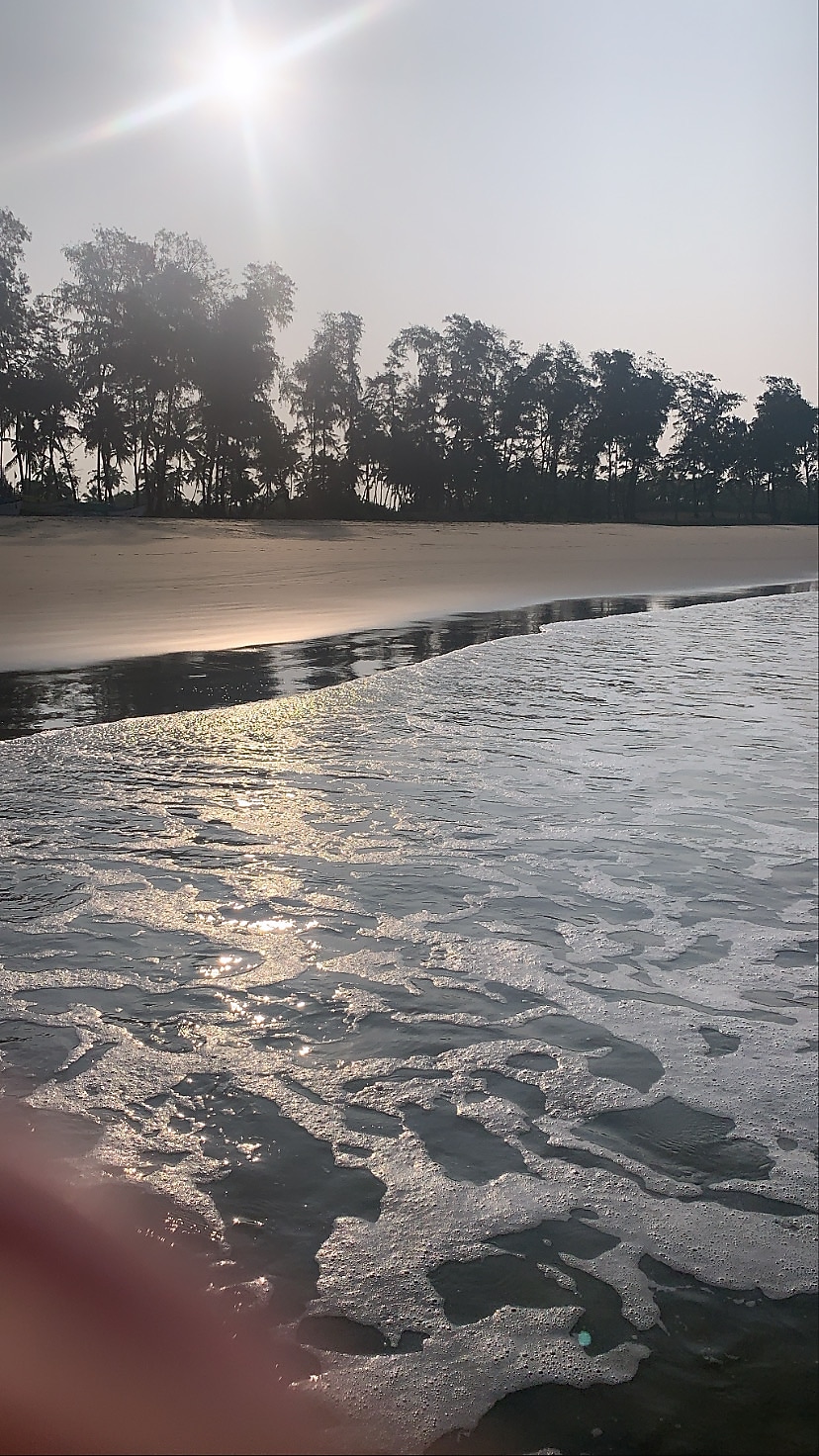 Alila Diwa Goa - a Hyatt brand Goa Resort Price, Address & Reviews