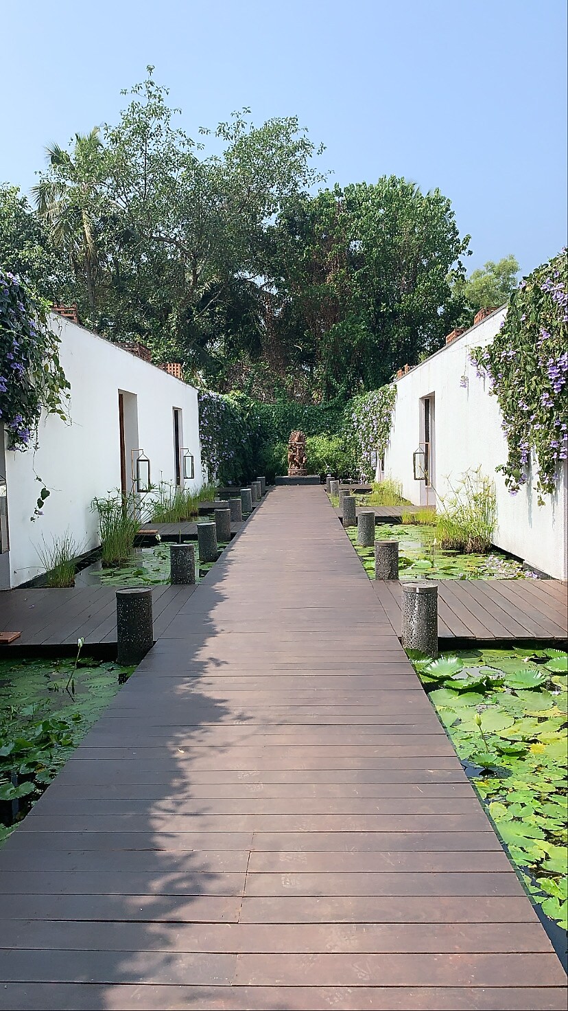 Alila Diwa Goa - a Hyatt brand Goa Resort Price, Address & Reviews