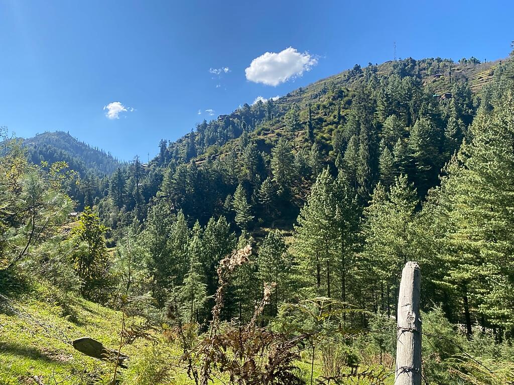 SHIVA VALLEY - A RIVER SIDE HOME STAY 𝗕𝗢𝗢𝗞 Jibhi Hostel 𝘄𝗶𝘁𝗵 𝗙𝗥𝗘𝗘 ...