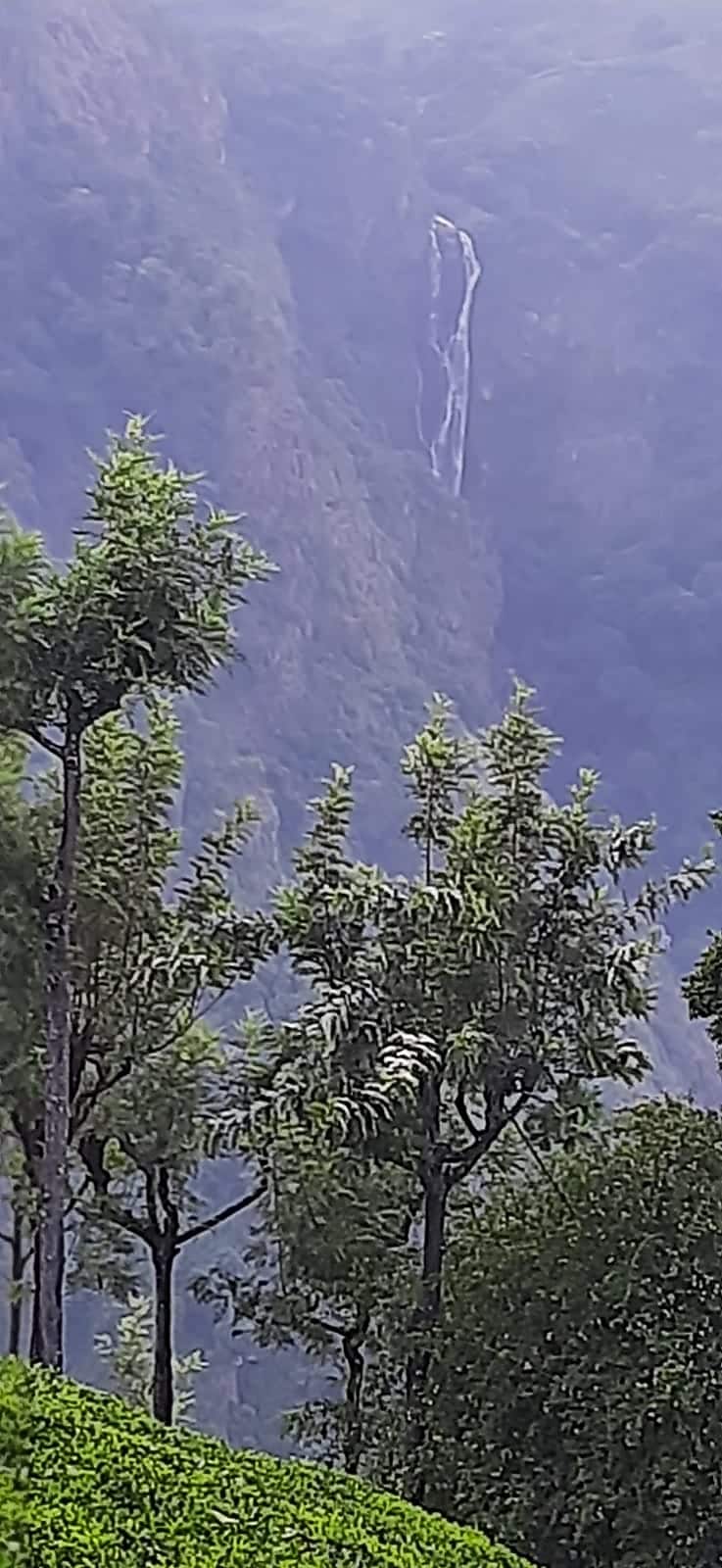 The Hidden Heaven 𝗕𝗢𝗢𝗞 Coonoor Homestay 𝘄𝗶𝘁𝗵 ₹𝟬 𝗣𝗔𝗬𝗠𝗘𝗡𝗧