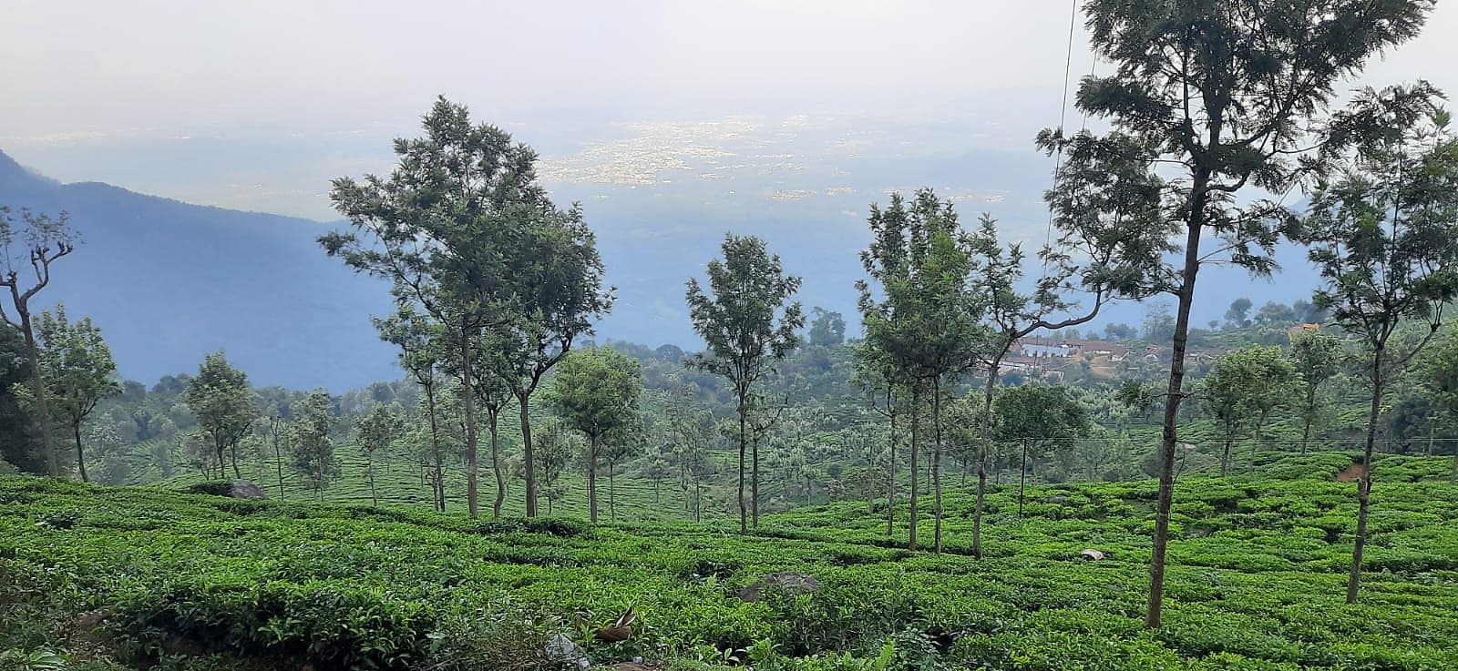 The Hidden Heaven 𝗕𝗢𝗢𝗞 Coonoor Homestay 𝘄𝗶𝘁𝗵 ₹𝟬 𝗣𝗔𝗬𝗠𝗘𝗡𝗧