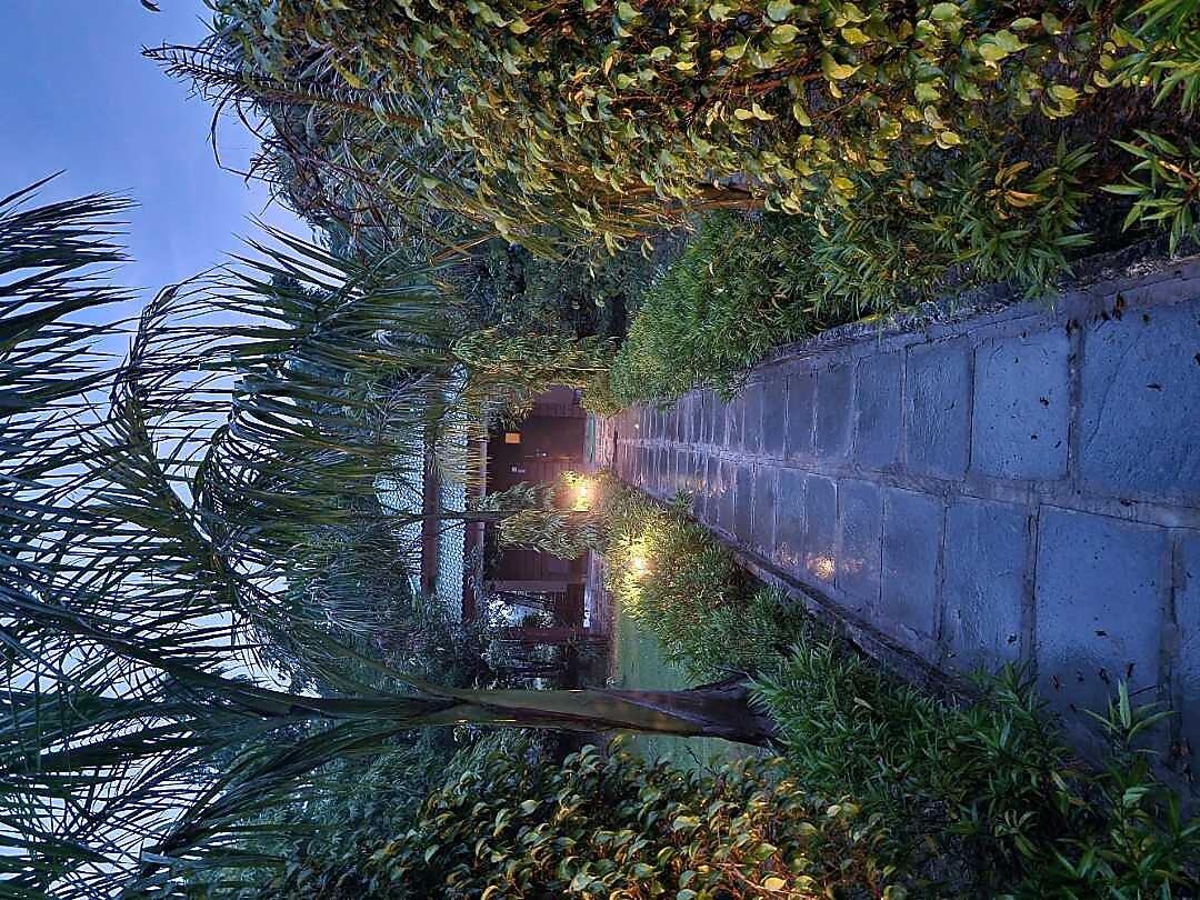 Olive Resort - Sillari Pench | Ramtek Resort BOOK @ ₹1