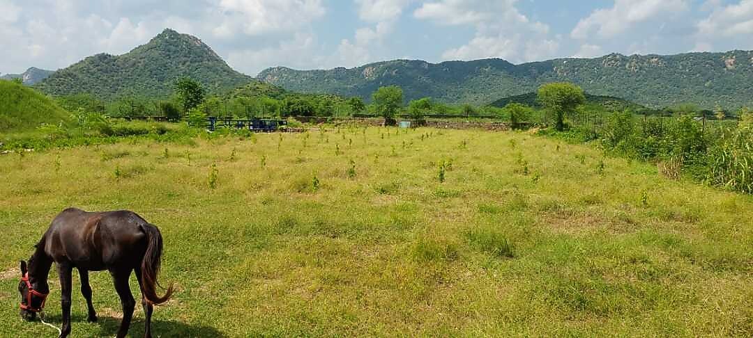 The Chalet by Rampur Estate | Sariska Resort BOOK @ ₹1