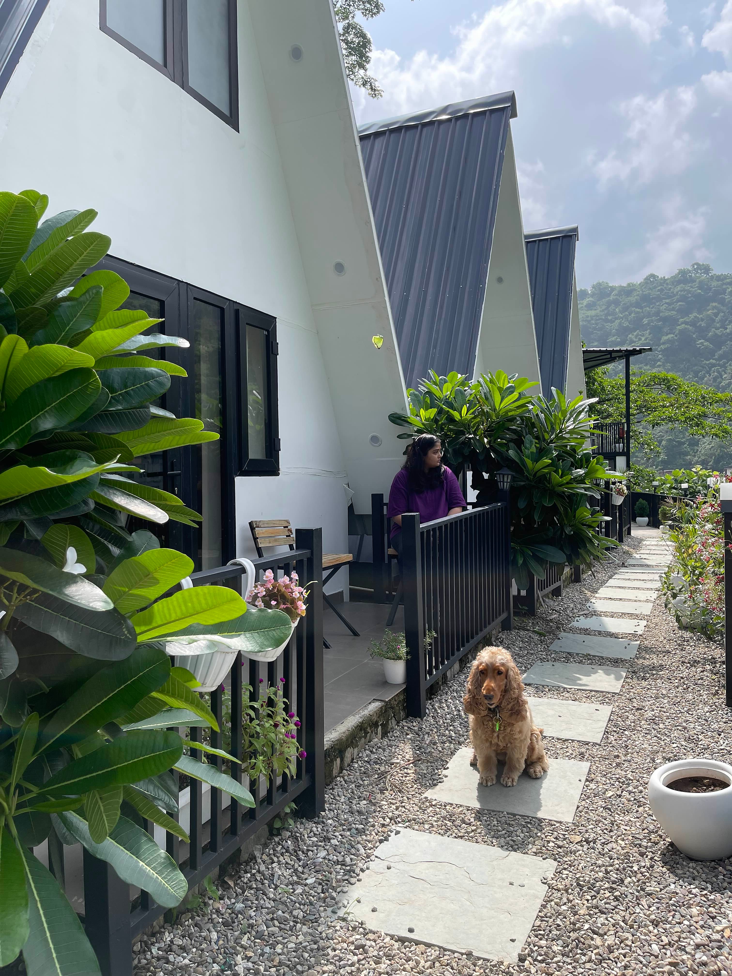 The Alchemist House 𝗕𝗢𝗢𝗞 Rishikesh Hotel 𝘄𝗶𝘁𝗵 𝗙𝗥𝗘𝗘 𝗖𝗮𝗻𝗰𝗲𝗹𝗹𝗮𝘁𝗶𝗼𝗻