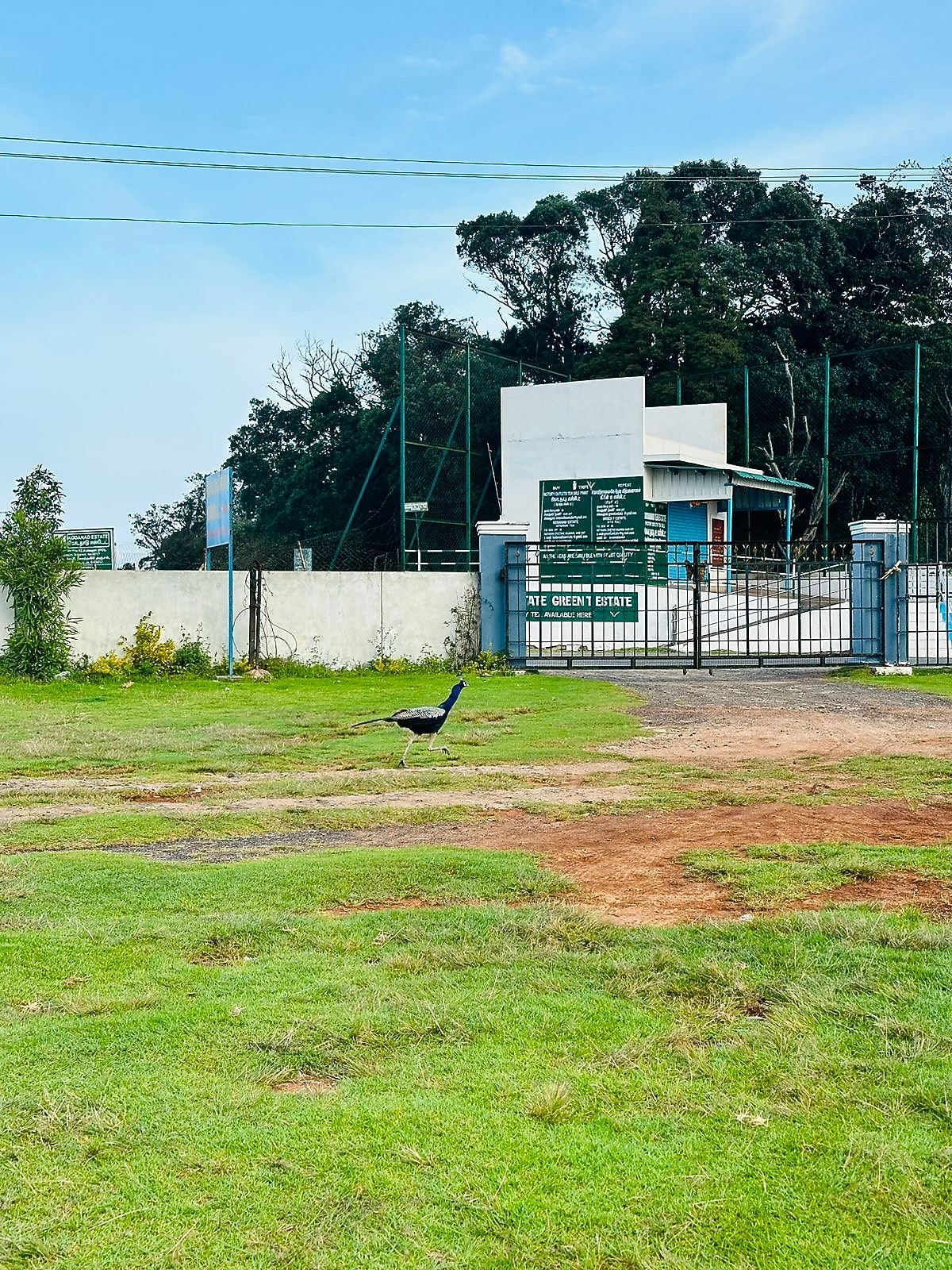 Deccan Valley View Resorts 𝗕𝗢𝗢𝗞 Kotagiri Resort 𝘄𝗶𝘁𝗵 ₹𝟬 𝗣𝗔𝗬𝗠𝗘𝗡𝗧