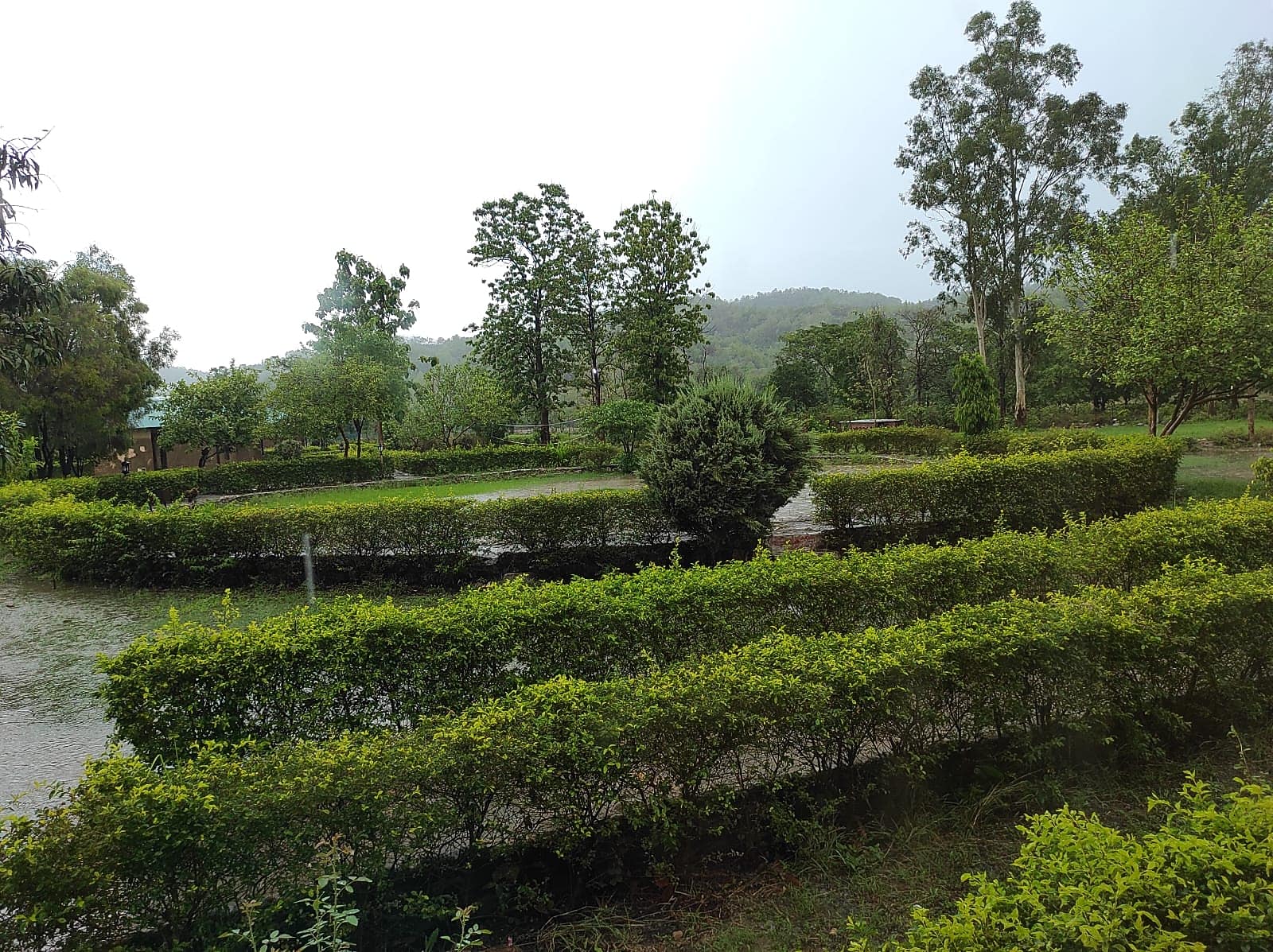 Photos of Tusk and Roar Corbett Resort - Resort in Jim Corbett (Ramnagar)