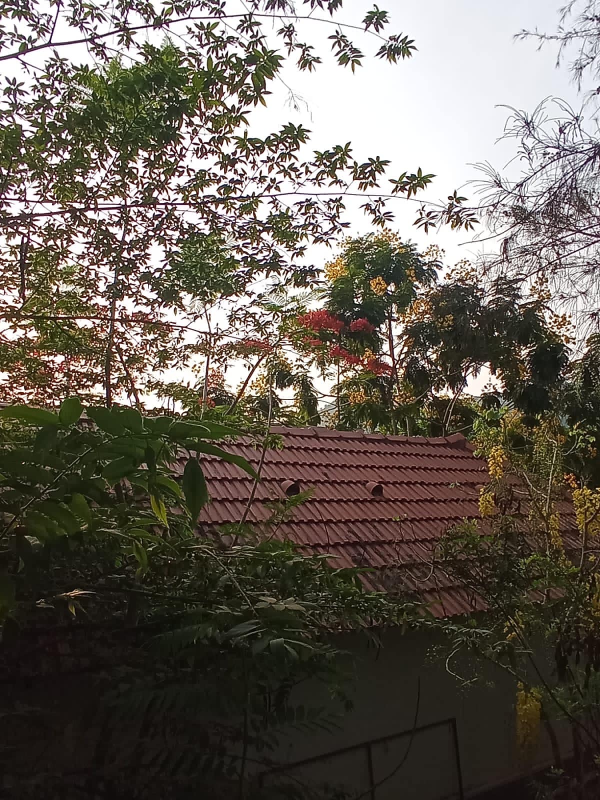 Aara Jungle Resort 𝗕𝗢𝗢𝗞 METTUPALAYAM Resort 𝘄𝗶𝘁𝗵 ₹𝟬 𝗣𝗔𝗬𝗠𝗘𝗡𝗧