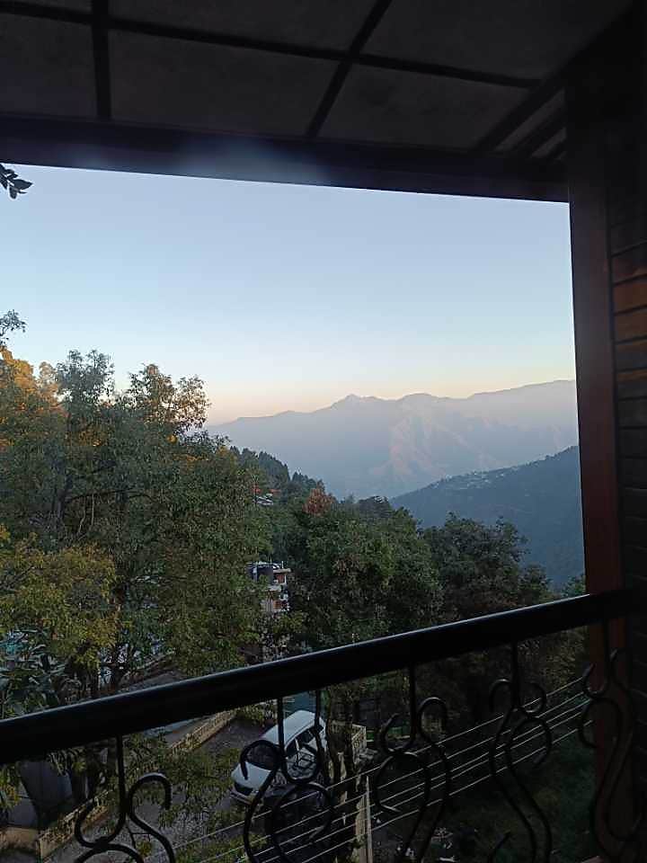Mango Tree Courtyard Mussoorie Best Rates on Mussoorie Hotel Deals ...