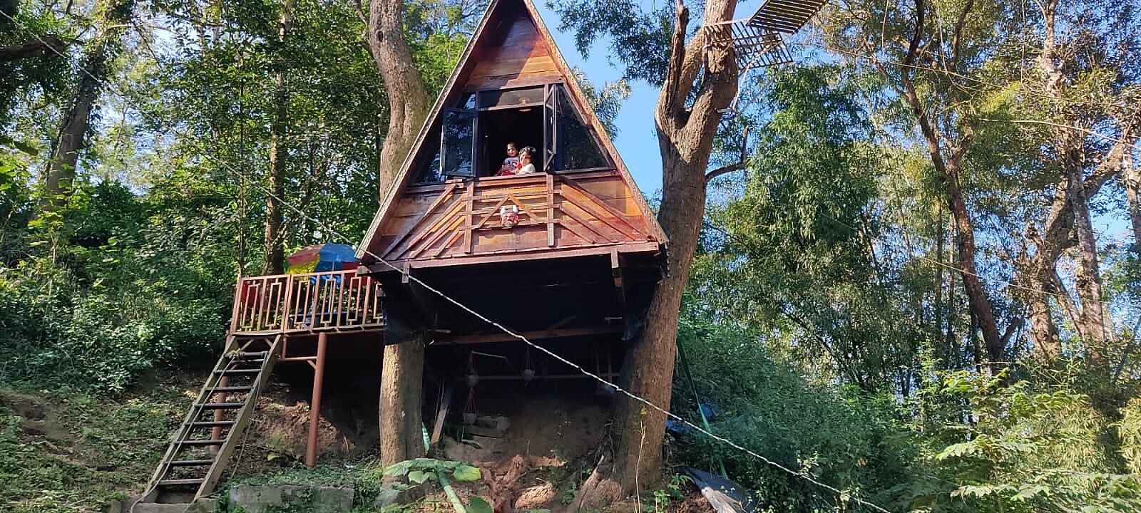 The EcoNest Treehouse | Rooms & Caretaker 𝗕𝗢𝗢𝗞 Coorg Tree house 𝘄𝗶𝘁𝗵 ₹𝟬 ...