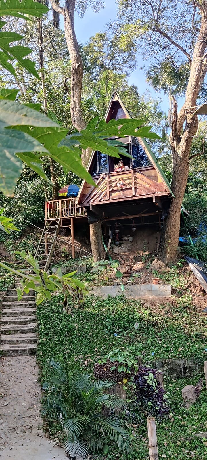 The EcoNest Treehouse | Rooms & Caretaker 𝗕𝗢𝗢𝗞 Coorg Tree house 𝘄𝗶𝘁𝗵 ₹𝟬 ...