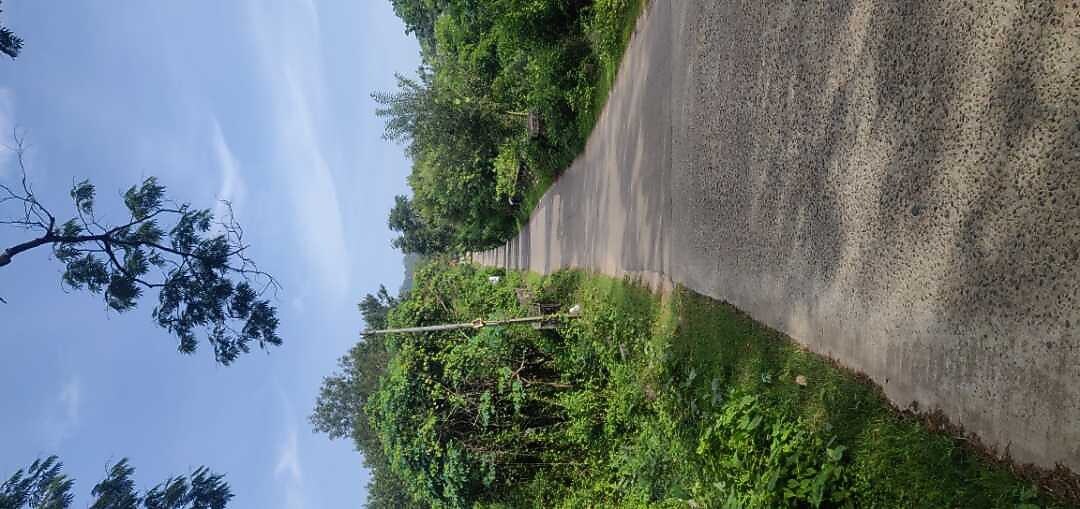 Coorg Spring Valley | Rooms in a Homestay 𝗕𝗢𝗢𝗞 Coorg Homestay 𝘄𝗶𝘁𝗵 𝗙𝗥𝗘𝗘 ...