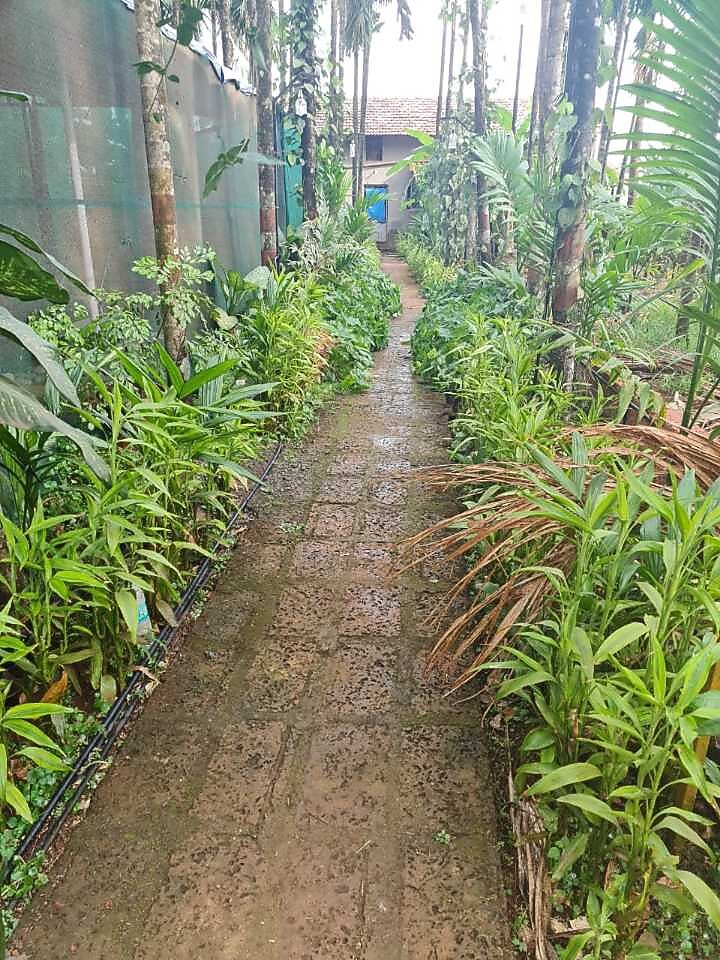 Nature's Harmony Resort 𝗕𝗢𝗢𝗞 Chiplun Resort 𝘄𝗶𝘁𝗵 𝗙𝗥𝗘𝗘 𝗖𝗮𝗻𝗰𝗲𝗹𝗹𝗮𝘁𝗶𝗼𝗻