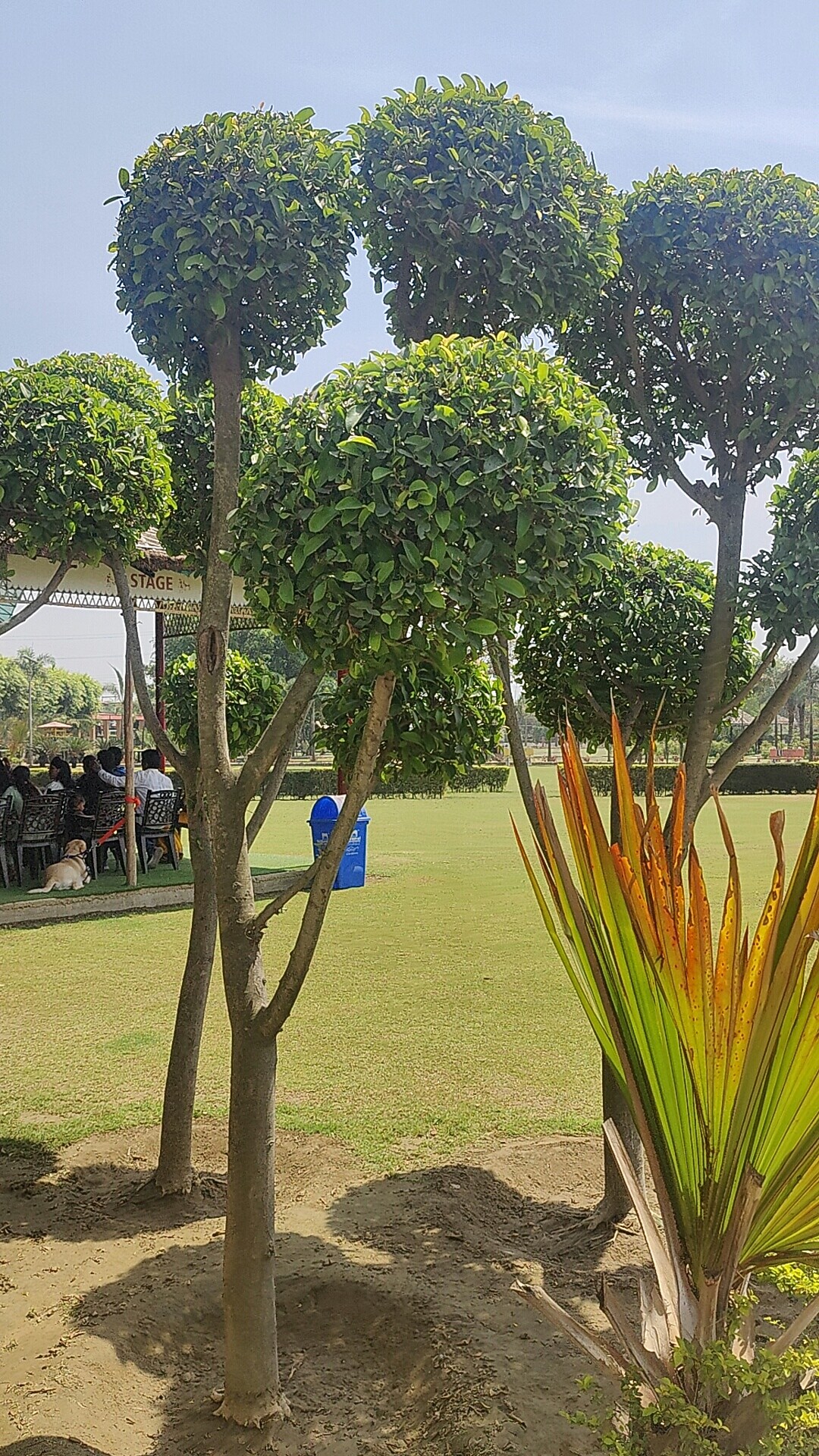 Photos of RURBAN RESORT - Resort in Muradnagar