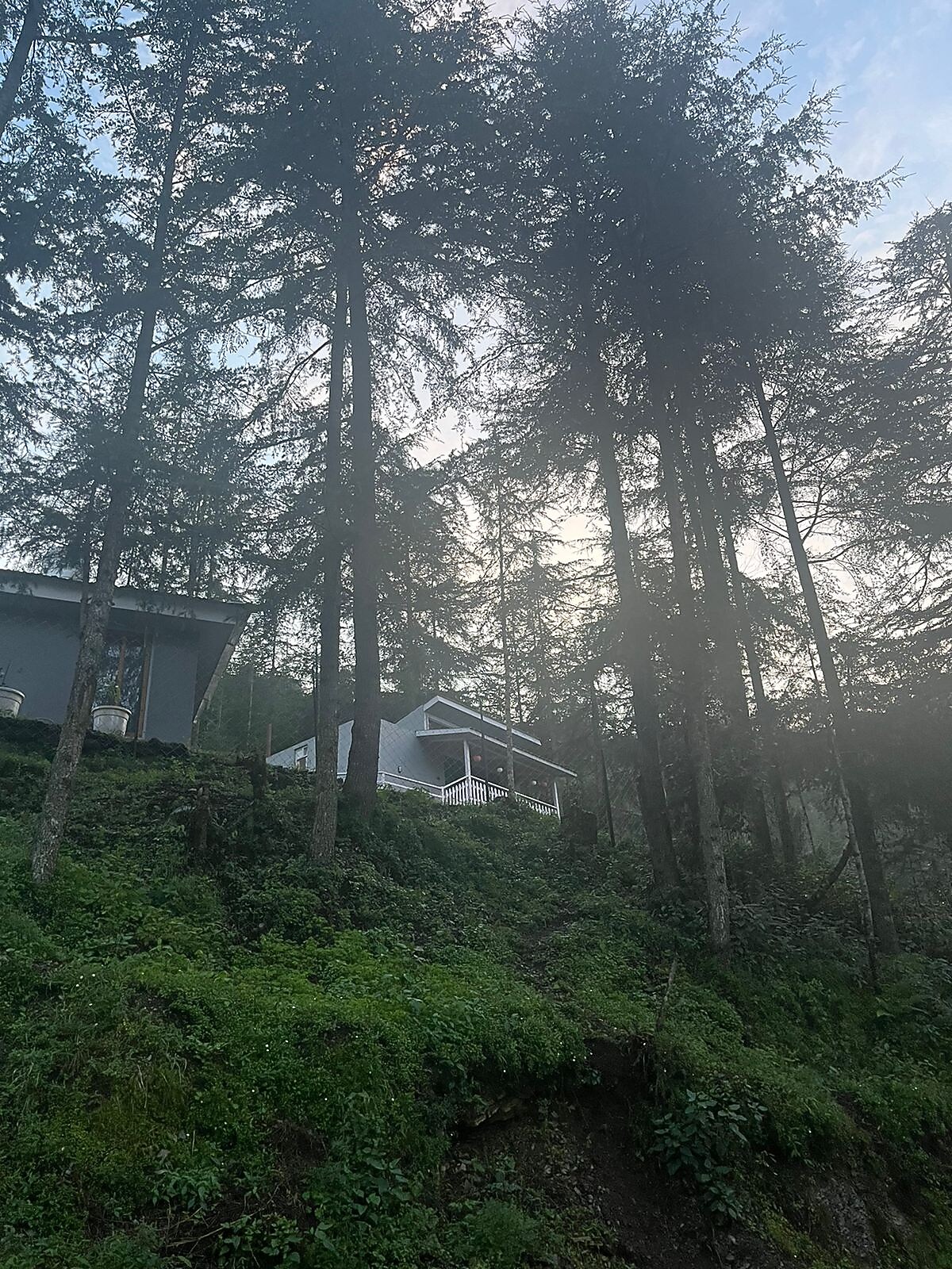 Ilika Resort 𝗕𝗢𝗢𝗞 Chakrata Cottage 𝘄𝗶𝘁𝗵 𝗙𝗥𝗘𝗘 𝗖𝗮𝗻𝗰𝗲𝗹𝗹𝗮𝘁𝗶𝗼𝗻