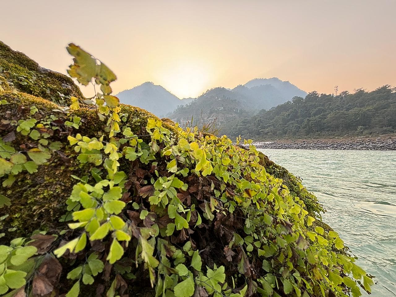 Anand Kashi by the Ganges, Rishikesh - IHCL SeleQtions 𝗕𝗢𝗢𝗞 Rishikesh ...