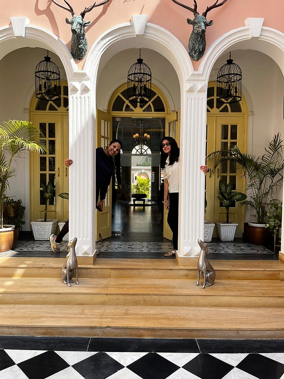 Hotel White Rabbit 𝗕𝗢𝗢𝗞 Pushkar Hotel 𝘄𝗶𝘁𝗵 ₹𝟬 𝗣𝗔𝗬𝗠𝗘𝗡𝗧