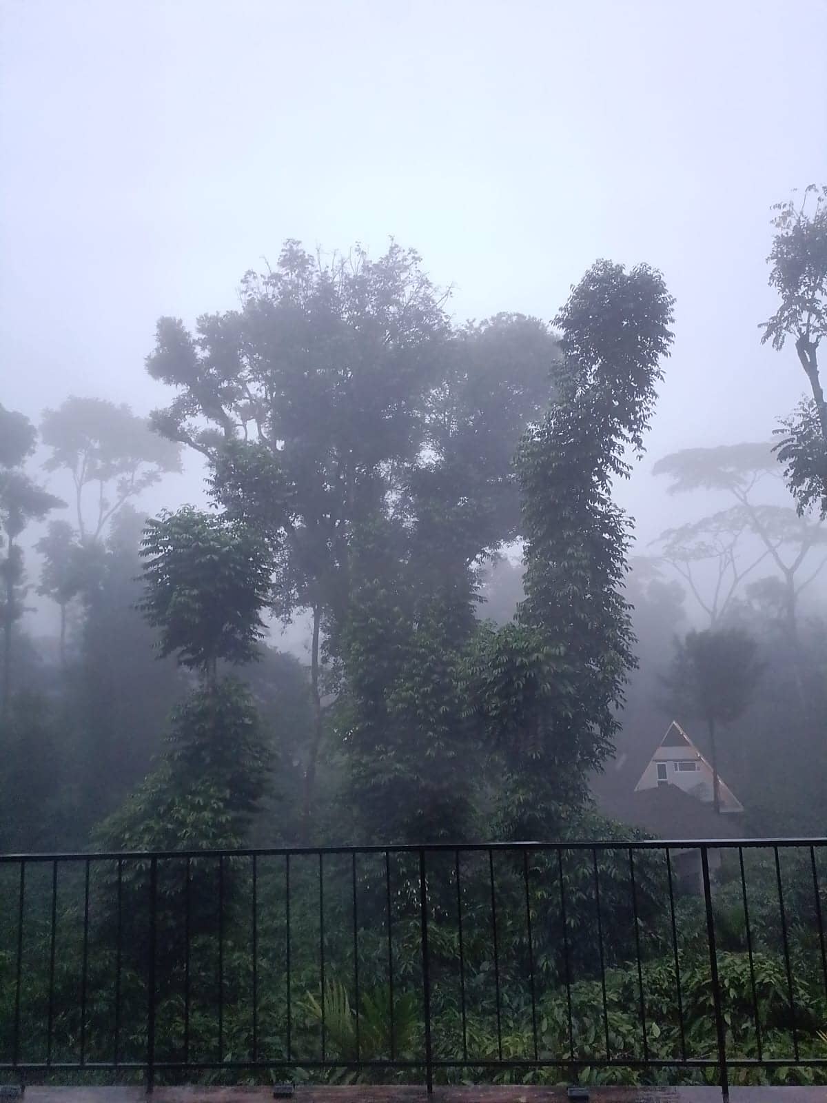 Inika Resort 𝗕𝗢𝗢𝗞 Coorg Resort 𝘄𝗶𝘁𝗵 𝗙𝗥𝗘𝗘 𝗖𝗮𝗻𝗰𝗲𝗹𝗹𝗮𝘁𝗶𝗼𝗻