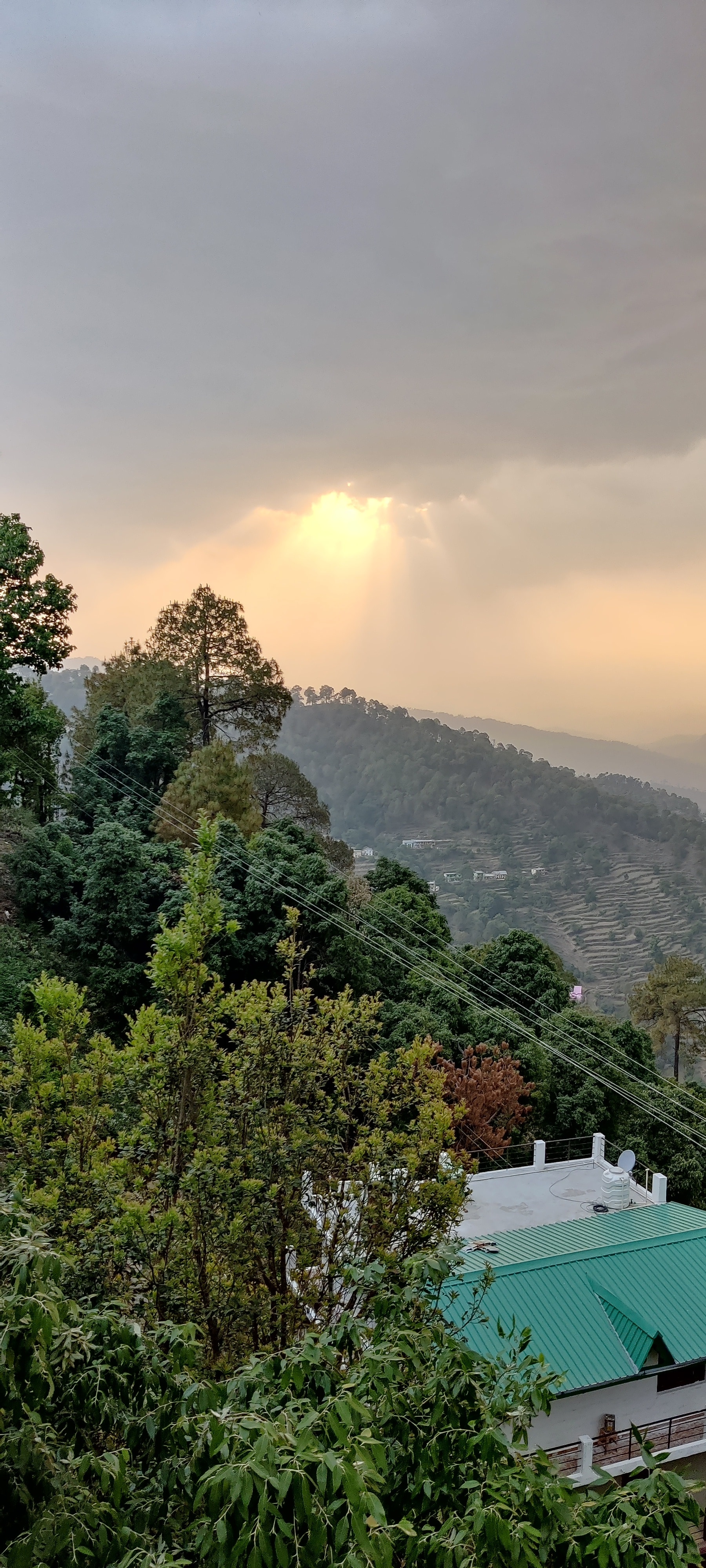 Photos of Alpine Rhapsody - Hotel in Ranikhet