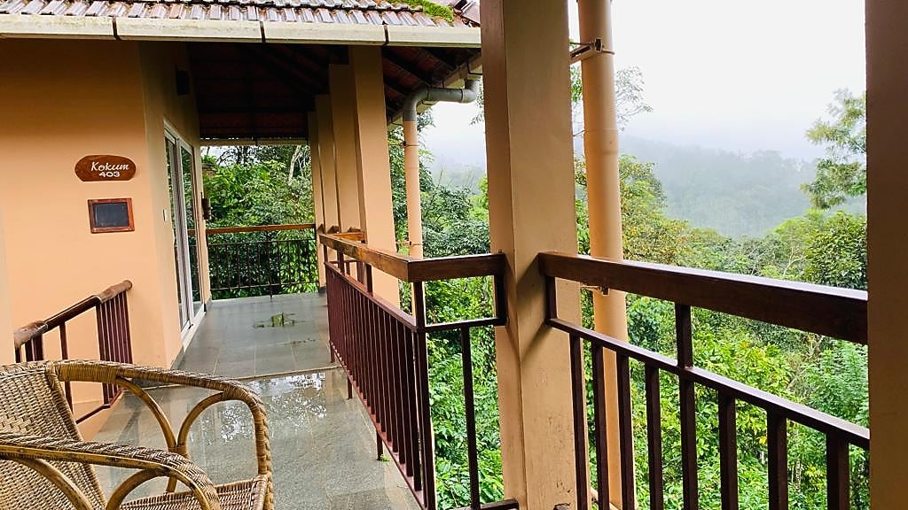 After the Rains - Rainforest Lodge 𝗕𝗢𝗢𝗞 Wayanad Resort 𝘄𝗶𝘁𝗵 ₹𝟬 𝗣𝗔𝗬𝗠𝗘𝗡𝗧
