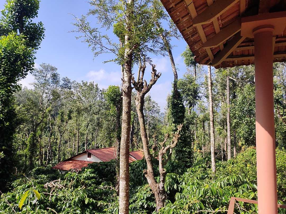 Natura Vista A Plantation Stay Coorg Farm House, FREE Cancellation ...