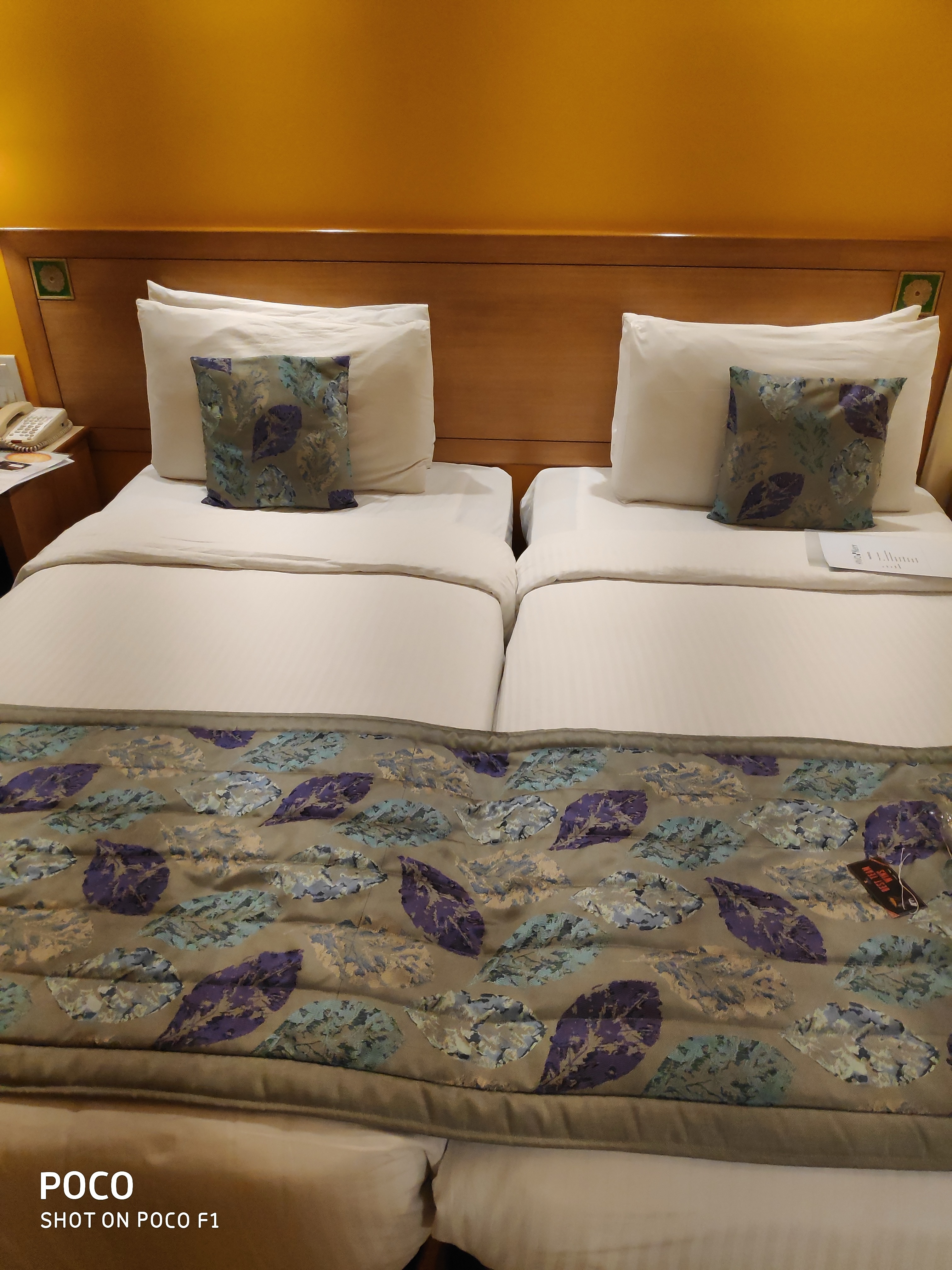 Reviews of Acron Candolim Regina - Hotel in Goa