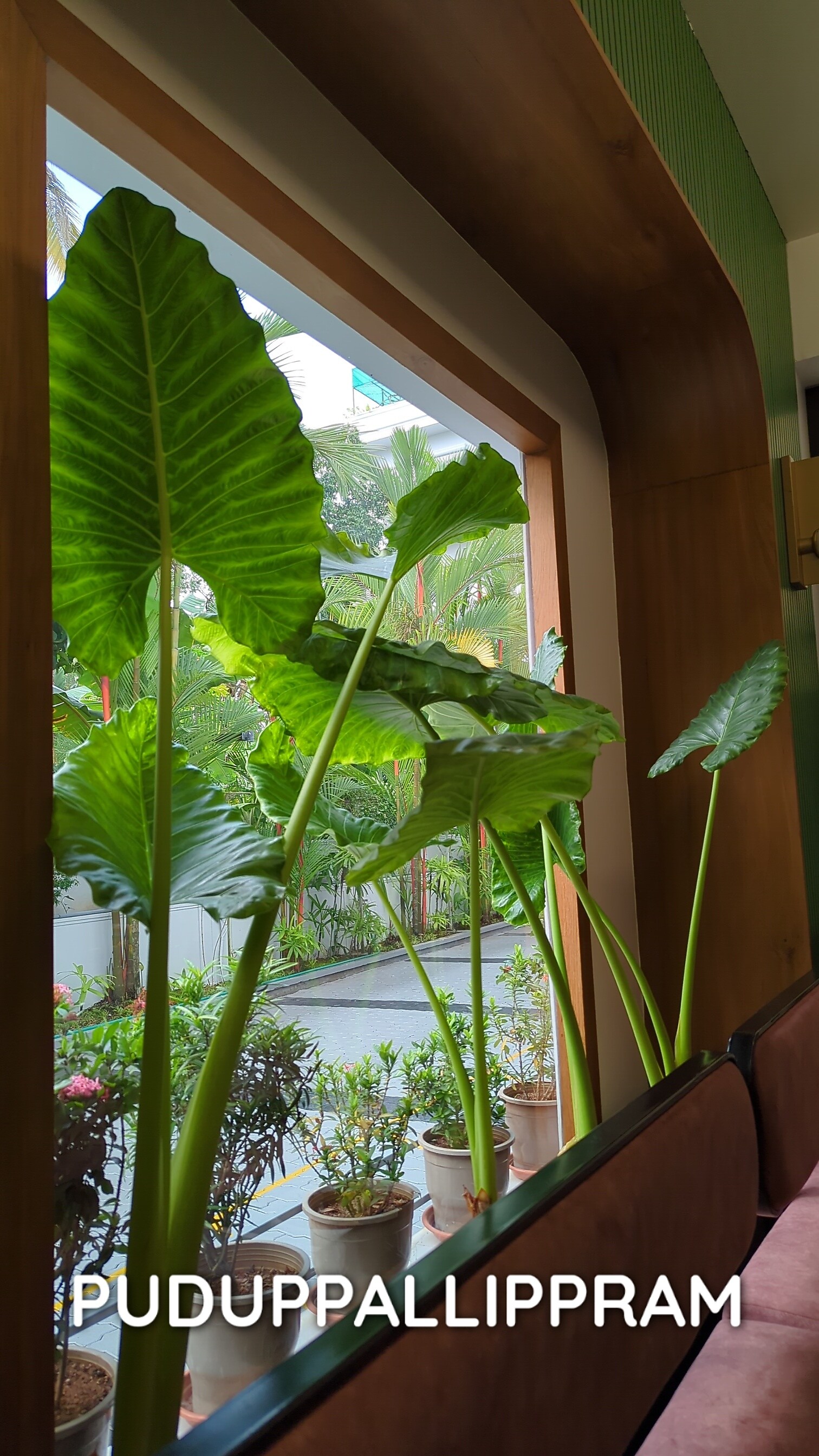 Photos of TGR Suites Cochin - Hotel in Cochin