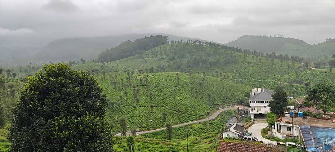 WINTEL WILD 𝗕𝗢𝗢𝗞 Valparai Resort 𝘄𝗶𝘁𝗵 𝗙𝗥𝗘𝗘 𝗖𝗮𝗻𝗰𝗲𝗹𝗹𝗮𝘁𝗶𝗼𝗻