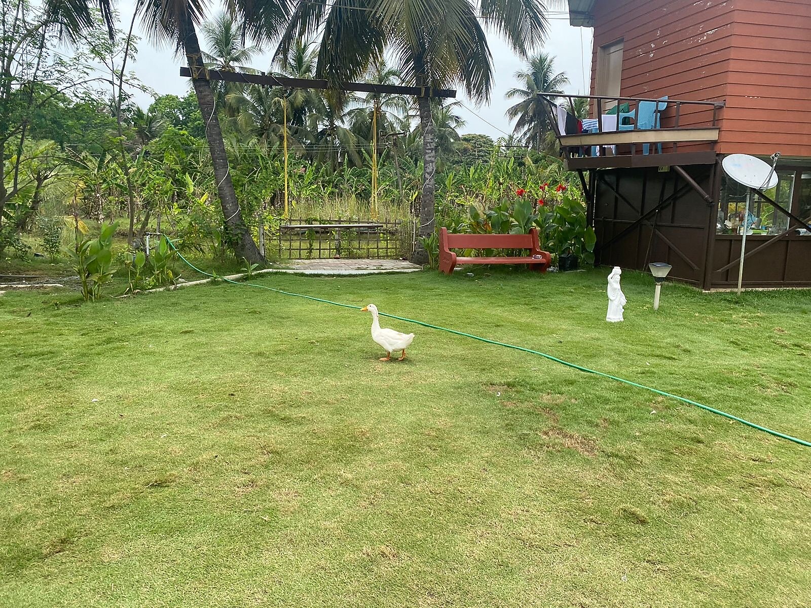 Krish Garden Farm Resort 𝗕𝗢𝗢𝗞 Chidambaram Resort 𝘄𝗶𝘁𝗵 ₹𝟬 𝗣𝗔𝗬𝗠𝗘𝗡𝗧