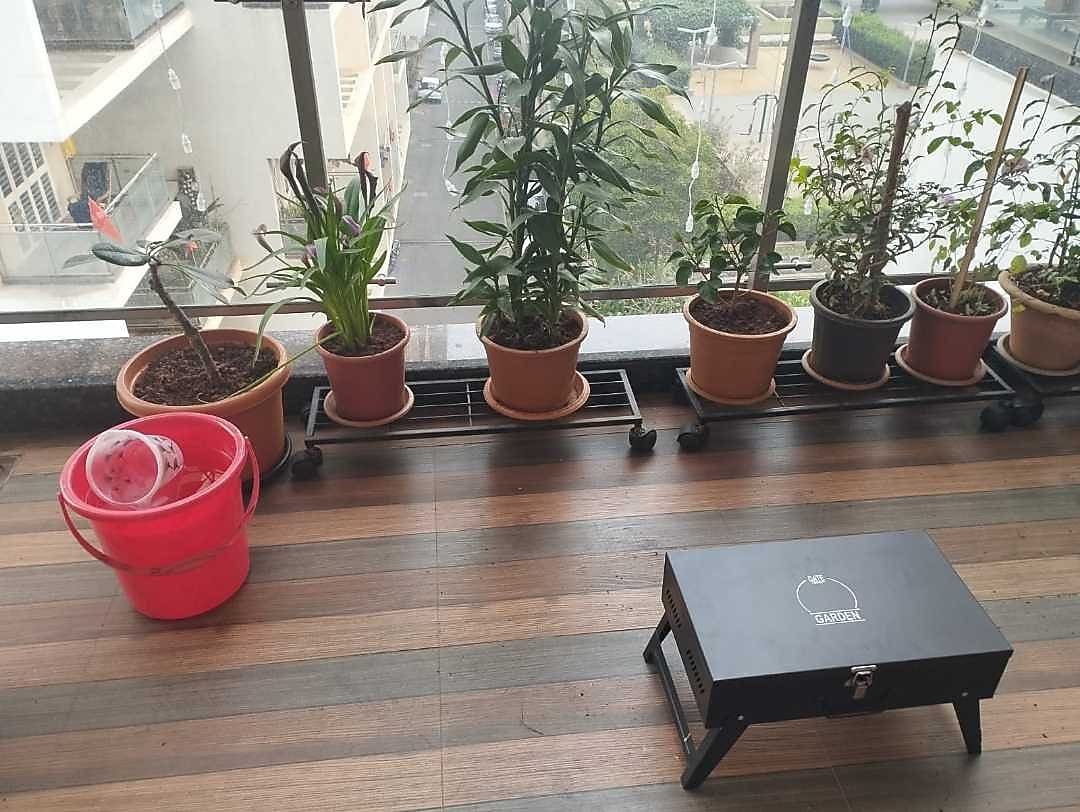 The Eternal Wave Calangute - Sunrise View Condo 𝗕𝗢𝗢𝗞 Goa Apartment 𝘄𝗶𝘁𝗵 ...