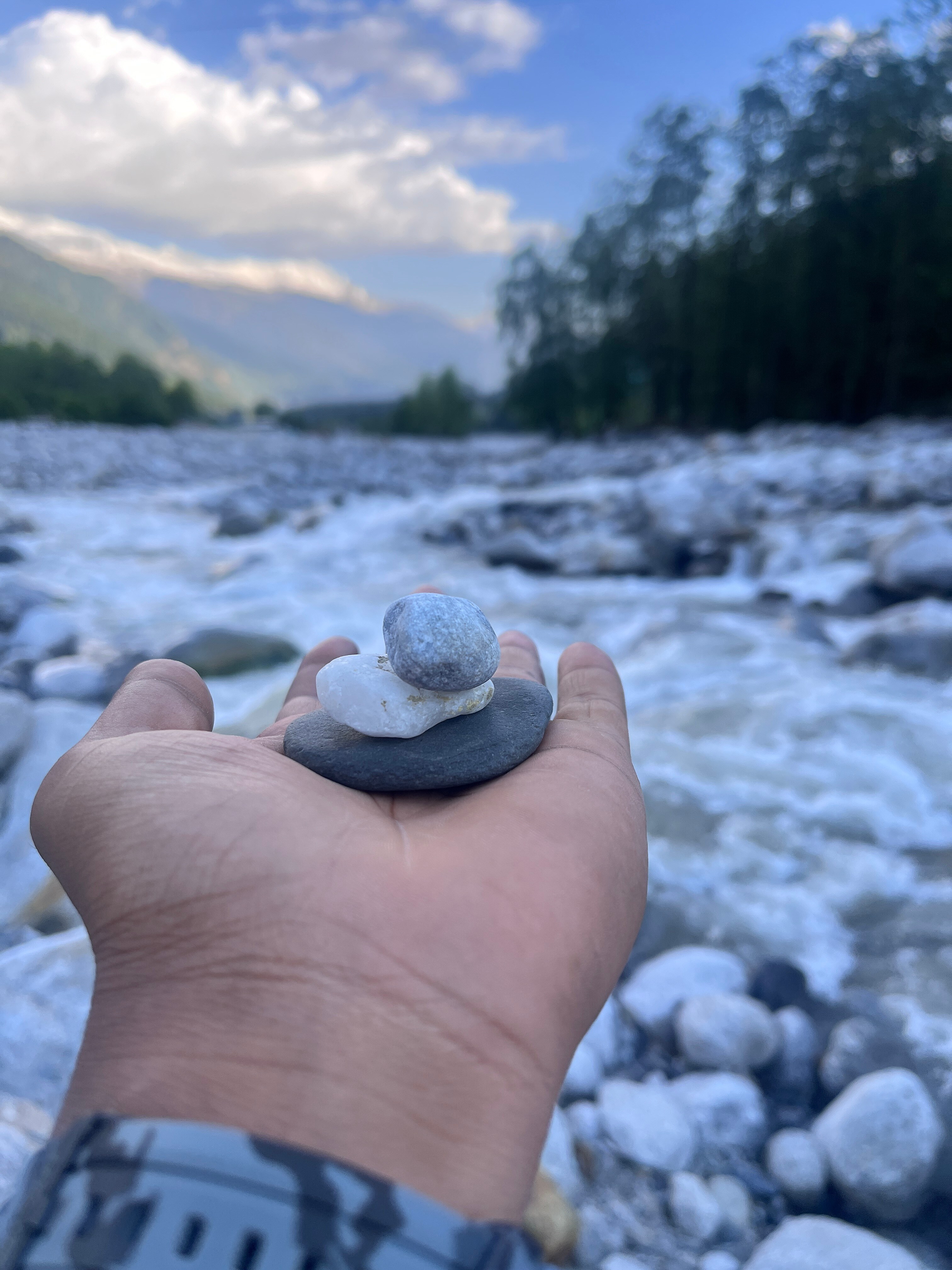 Homestay New Himank 𝗕𝗢𝗢𝗞 Manali Homestay 𝘄𝗶𝘁𝗵 𝗙𝗥𝗘𝗘 𝗖𝗮𝗻𝗰𝗲𝗹𝗹𝗮𝘁𝗶𝗼𝗻