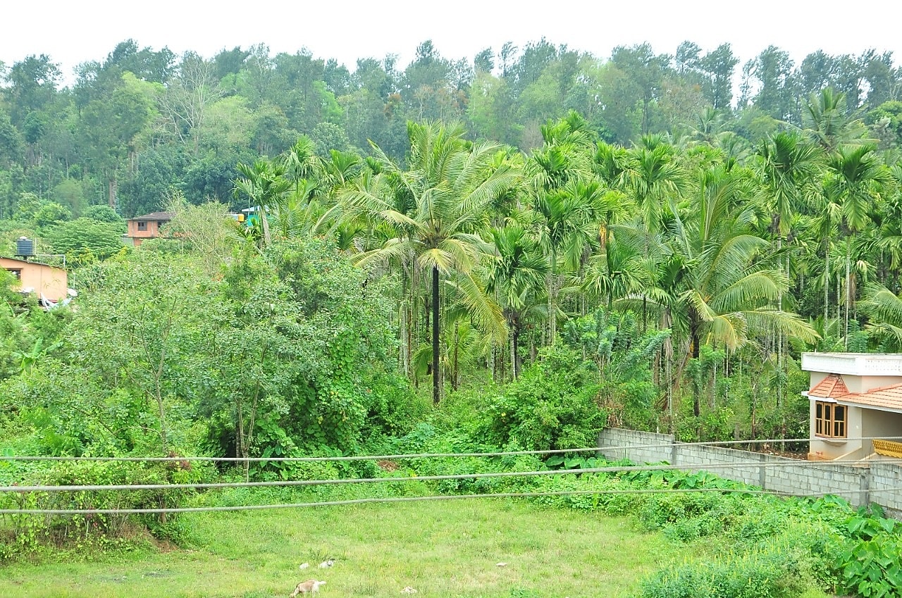 Cofiya Hotel & Restaurant Best Rates on Coorg Hotel Deals, Reviews & Photos