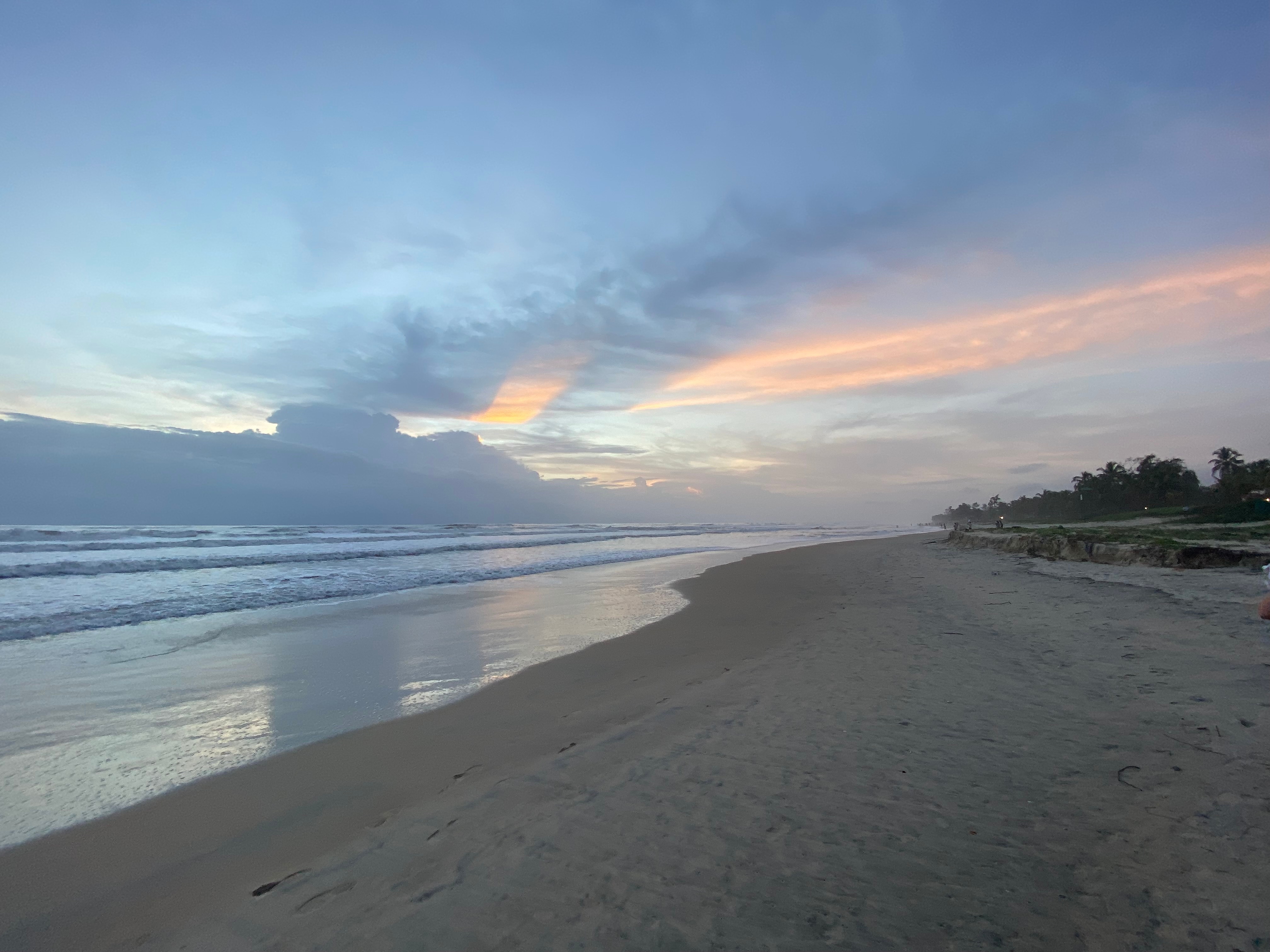 Photos of TreeHouse Neptune Inn - Hotel in Goa