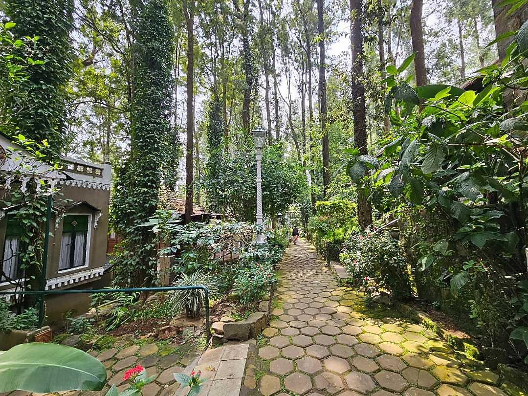 INDeco Lake Forest Yercaud 𝗕𝗢𝗢𝗞 Yercaud Resort 𝘄𝗶𝘁𝗵 ₹𝟬 𝗣𝗔𝗬𝗠𝗘𝗡𝗧