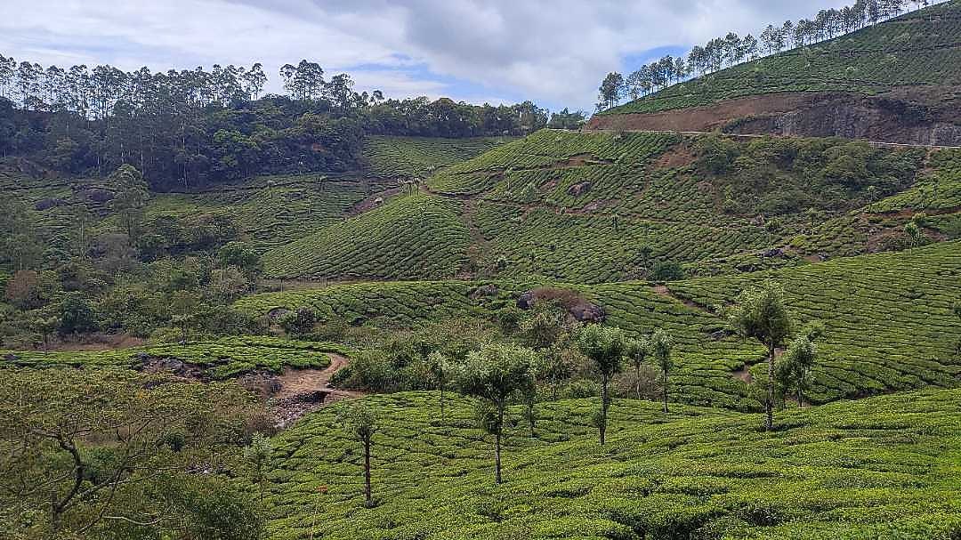Purple Munnar 𝗕𝗢𝗢𝗞 Munnar Resort 𝘄𝗶𝘁𝗵 ₹𝟬 𝗣𝗔𝗬𝗠𝗘𝗡𝗧