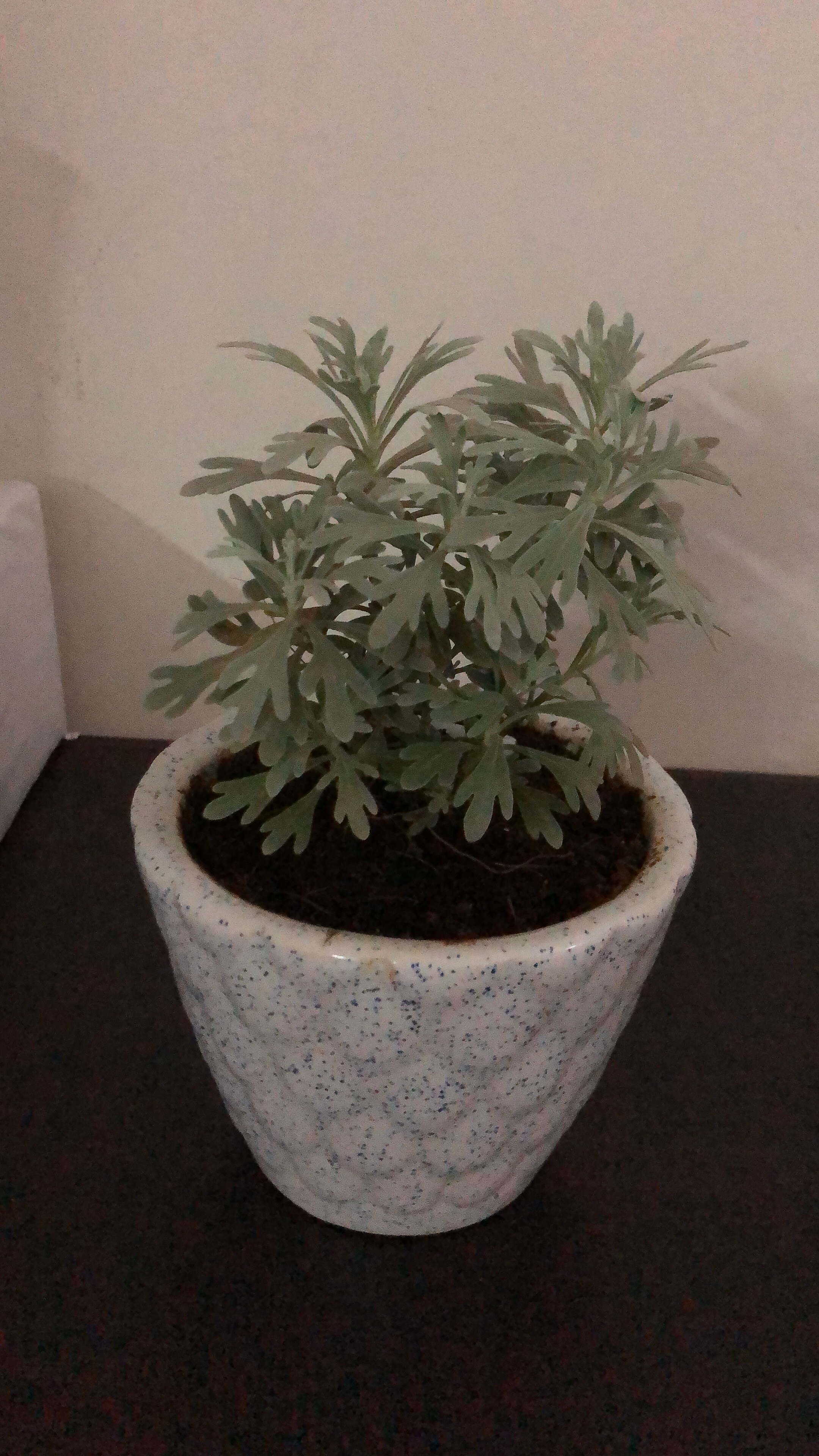 The Windflower Resorts & Spa Mysore Resort, FREE Cancellation*, Price ...